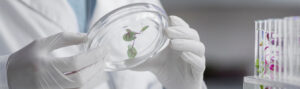 Agrégation interne SV-STU (Biologie) | Agregation